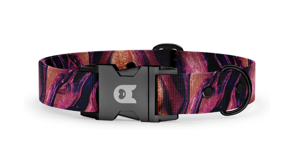 Dog collar Basic Collection Burgundy | Obodog