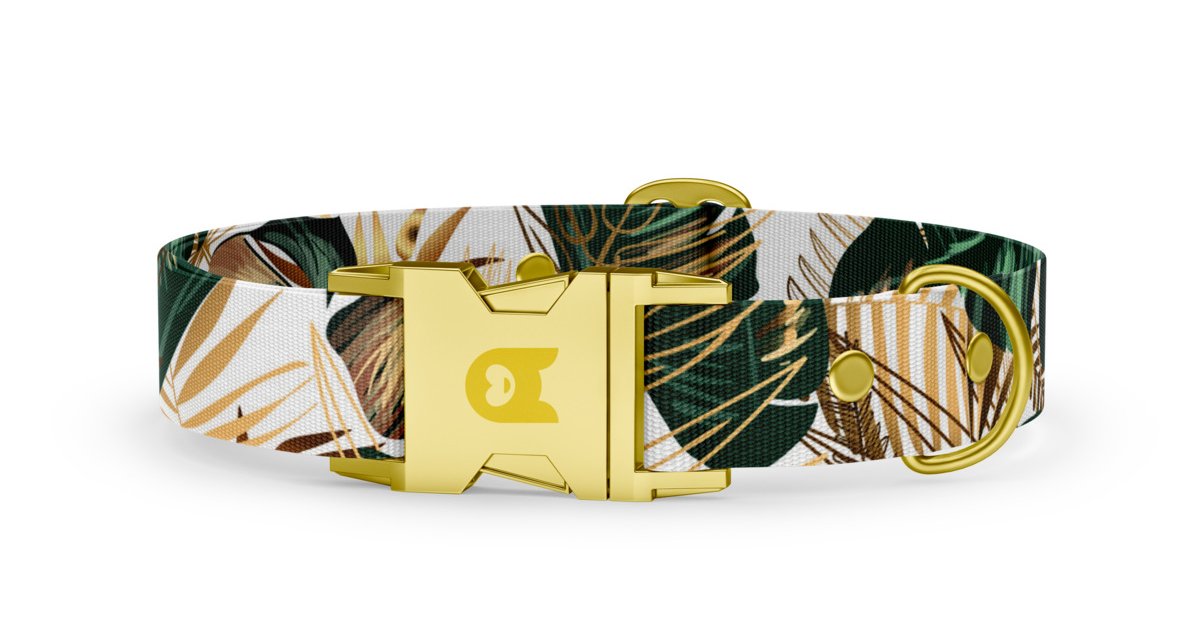 Dog collar Basic Collection Leaf | Obodog
