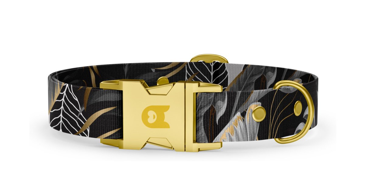 Dog collar Basic Collection Onyx | Obodog