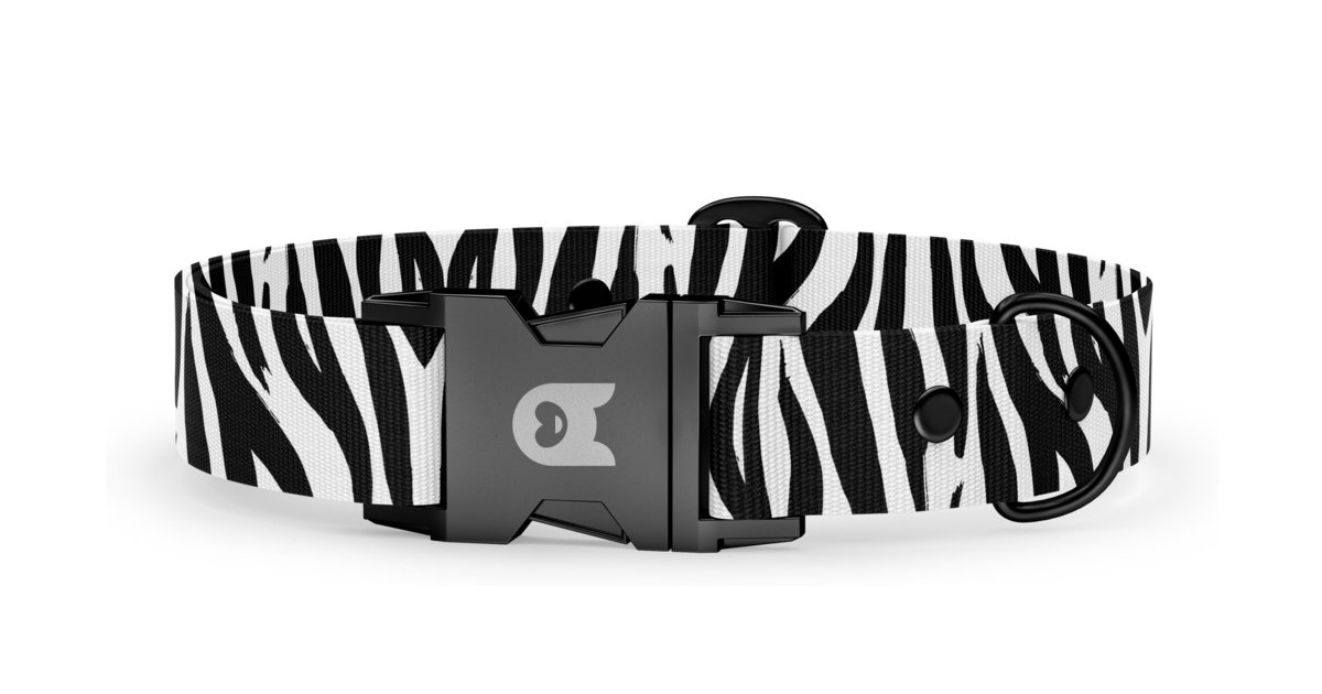 Dog collar Basic Collection Zebra | Obodog